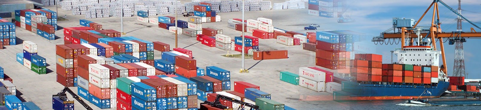 Freight Forwarding & Logistics Software Solutions